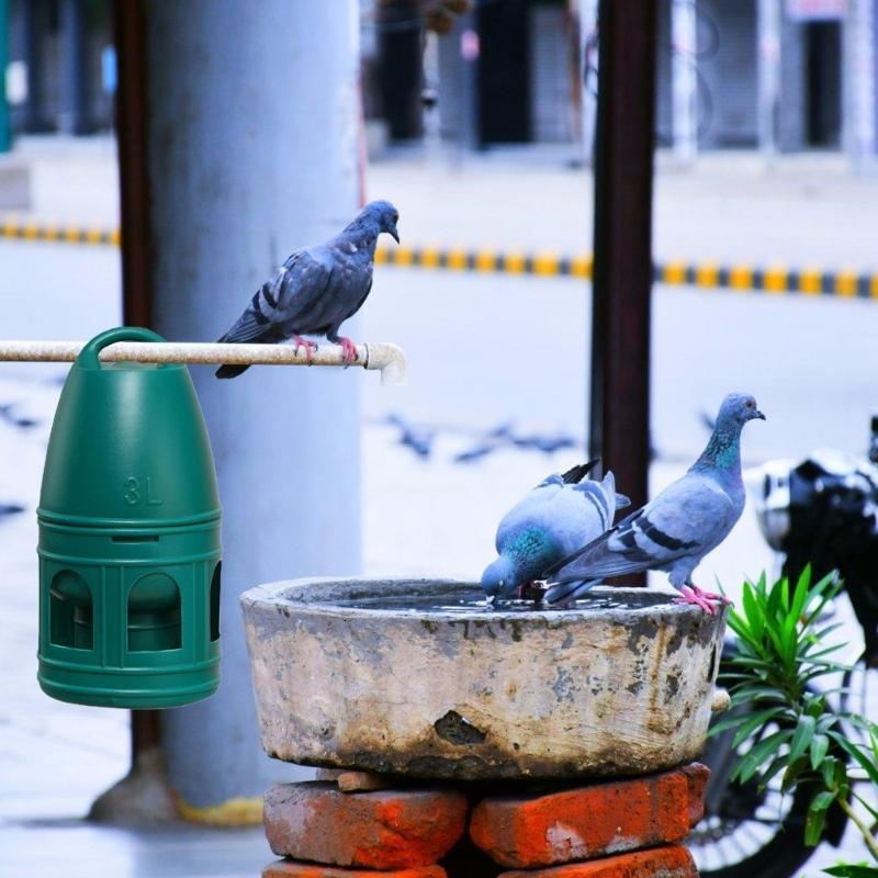 Thiết bị đựng nước uống chim dung tích lớn cho chim cút vẹt đuôi dài ...