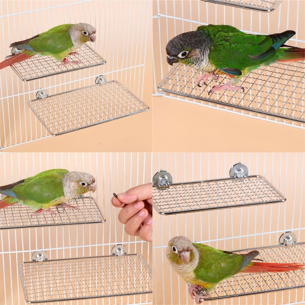 Rectangular Bird Cage Shelf Stand with Stainless Steel Construction ...
