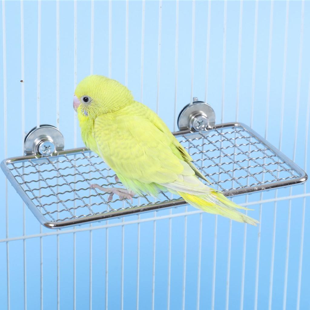 Rectangular Bird Cage Shelf Stand with Stainless Steel Construction ...