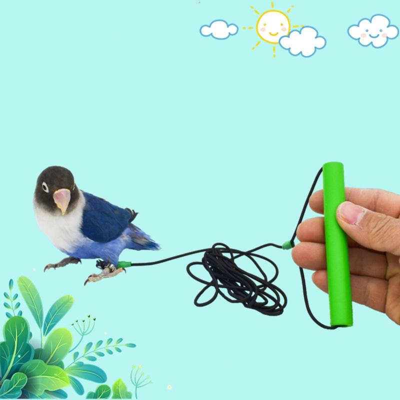 Pet Parrot Bird Harness Leash Small Birds Flying Training Rope for ...