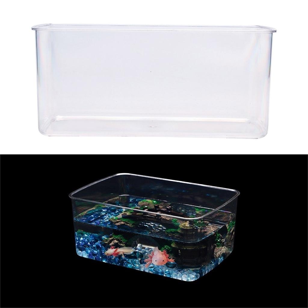 Fish Aquarium for Axolotl Salamanders Amphibians Fishkeeping ...